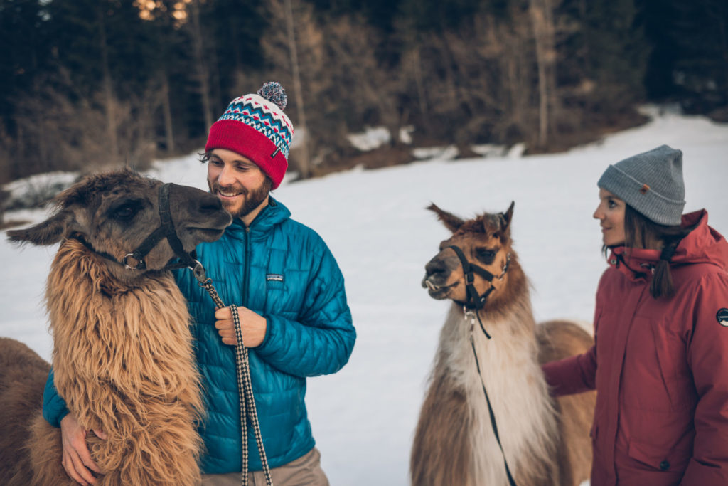 Entdecke das Lama in dir! - Hansmann PR